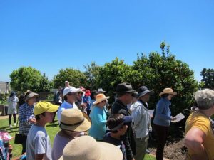 Judy's Homegrown Blog | Providing expert tree and garden care for 23 years